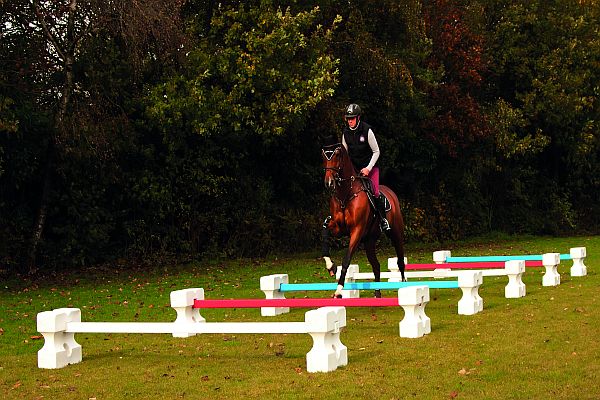 Cavaletti: How to set up and use? - Seriously Equestrian