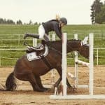 6 Ways to Stop Your Horse refusing - Seriously Equestrian