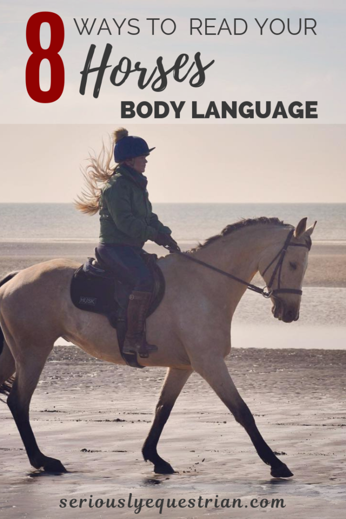 8 Ways to read your Horses’ Body Language - Seriously Equestrian