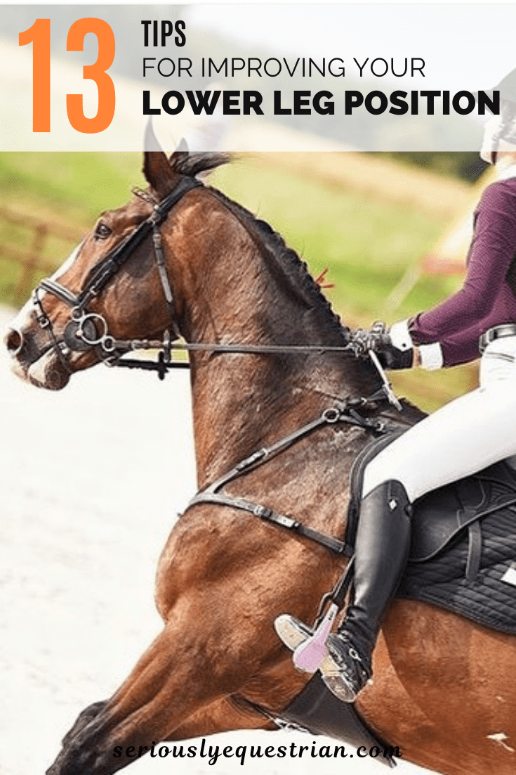 13 Tips For Improving Your Lower Leg Position Seriously Equestrian